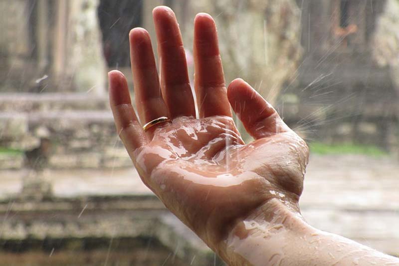 How to Have Happy Hands – Pride In Care